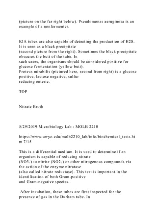 Micro Lab Notebook GuidelineHi everyone,Here are some guidelin.docx ...