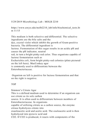 Micro Lab Notebook GuidelineHi everyone,Here are some guidelin.docx ...