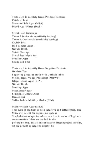 Micro Lab Notebook GuidelineHi everyone,Here are some guidelin.docx ...