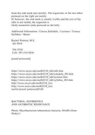 Micro Lab Notebook GuidelineHi everyone,Here are some guidelin.docx ...