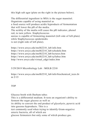 Micro Lab Notebook GuidelineHi everyone,Here are some guidelin.docx ...