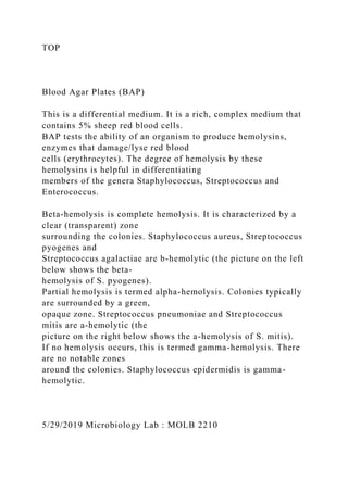 Micro Lab Notebook GuidelineHi everyone,Here are some guidelin.docx ...