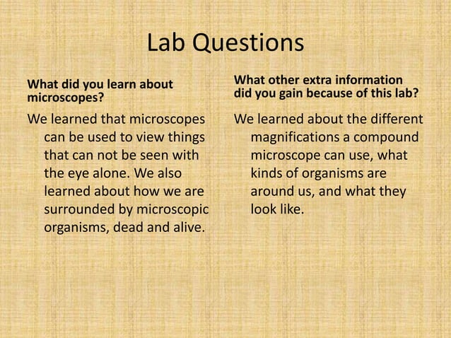 Micro lab presentation | PPTX | Biological Sciences | Science