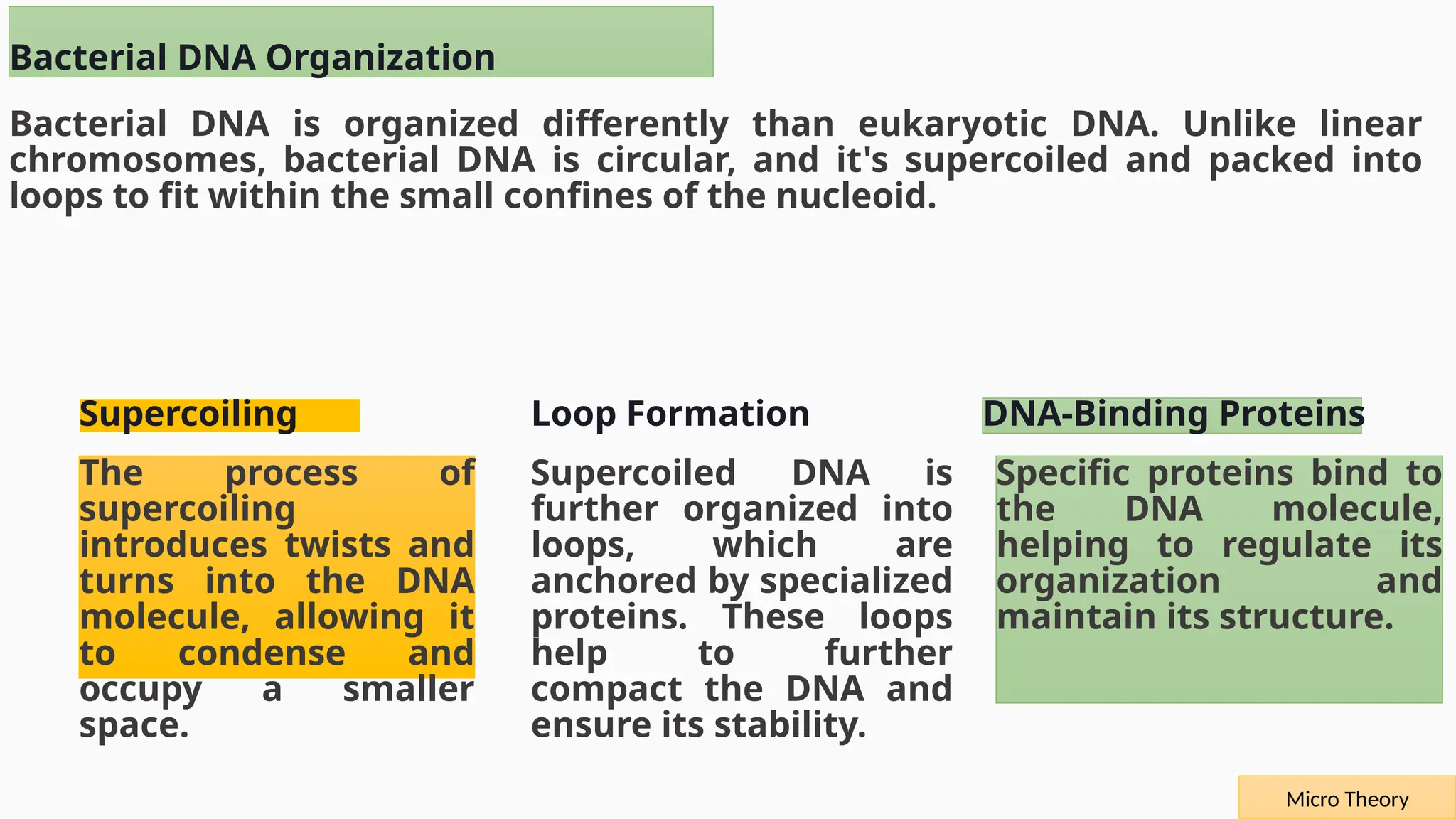 bacterial Nucleoid, Spores ,Appendages pptx | PPT