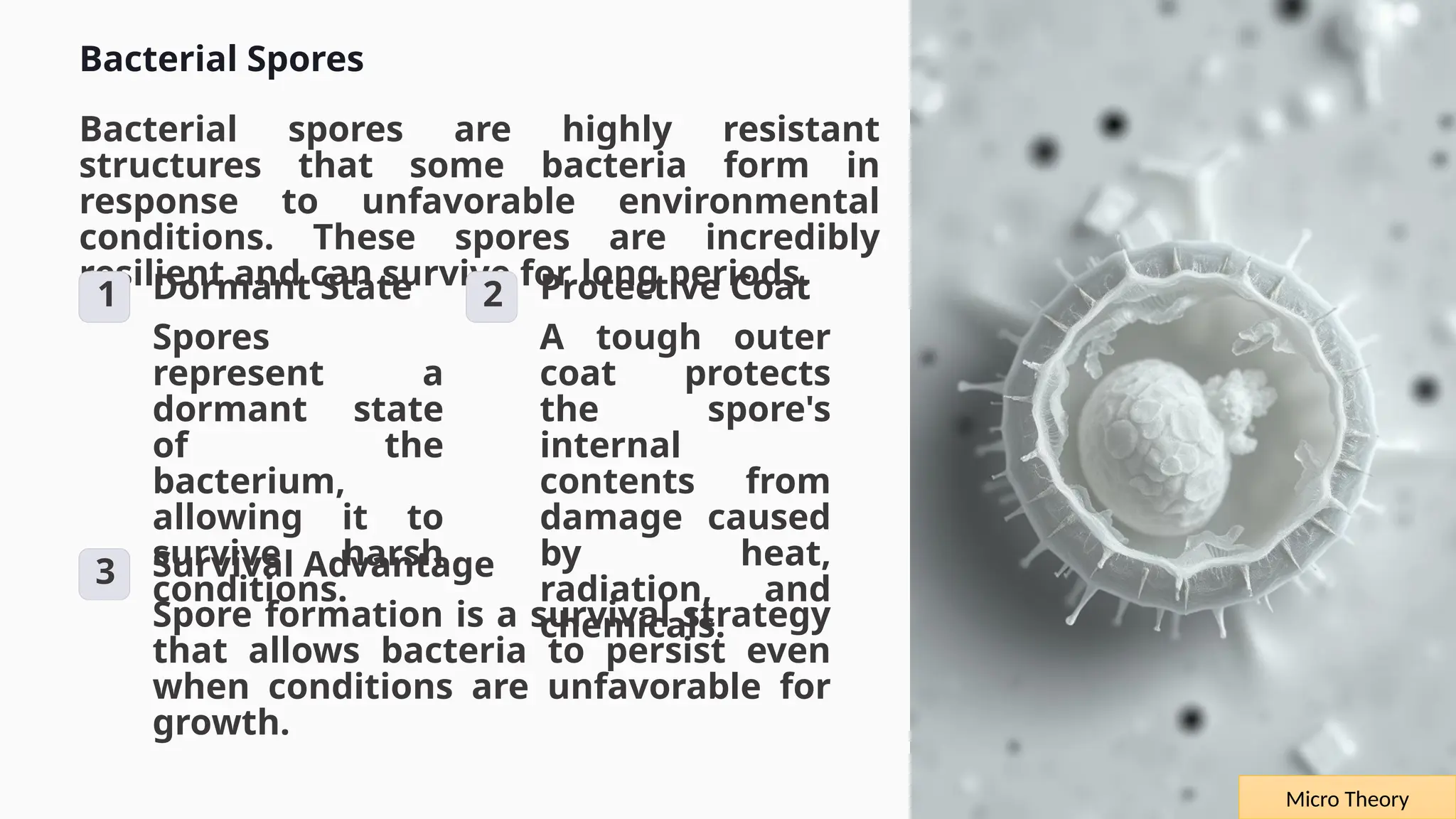 bacterial Nucleoid, Spores ,Appendages pptx | PPT
