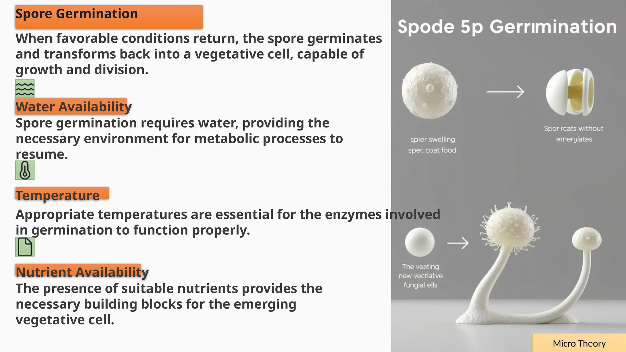 bacterial Nucleoid, Spores ,Appendages pptx | PPT