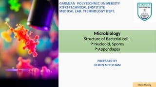 bacterial Nucleoid, Spores ,Appendages pptx | PPT