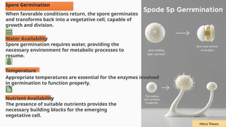 bacterial Nucleoid, Spores ,Appendages pptx | PPT