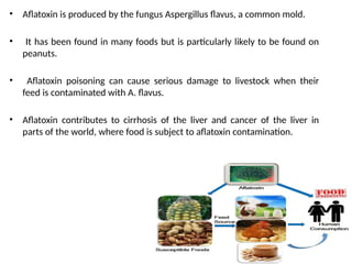 Micro lec 6 & 7 Bacterial food poisoning & Mycotoxin.pptx