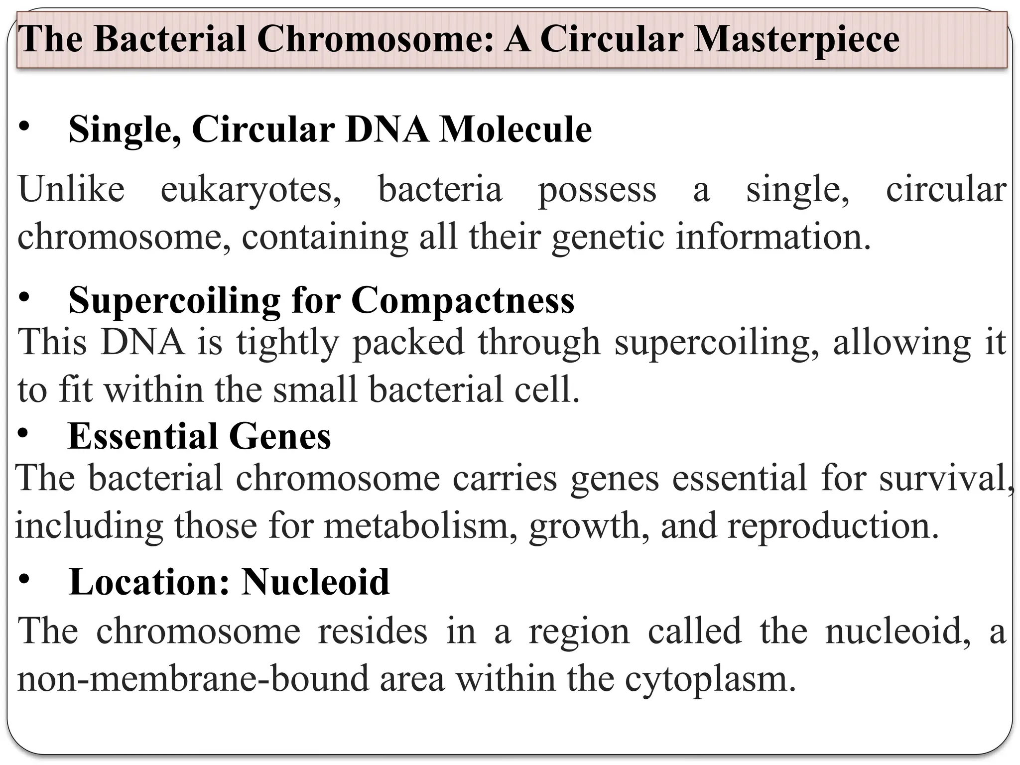 microbiology Lec bacterial genetic .pptx