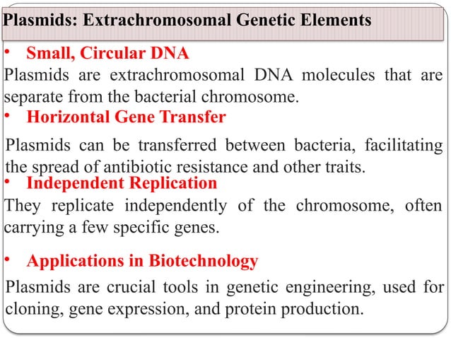 microbiology Lec bacterial genetic .pptx