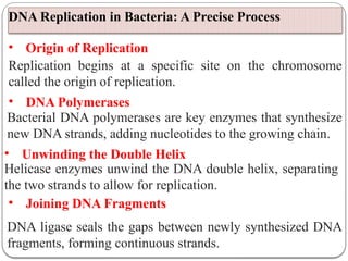 microbiology Lec bacterial genetic .pptx