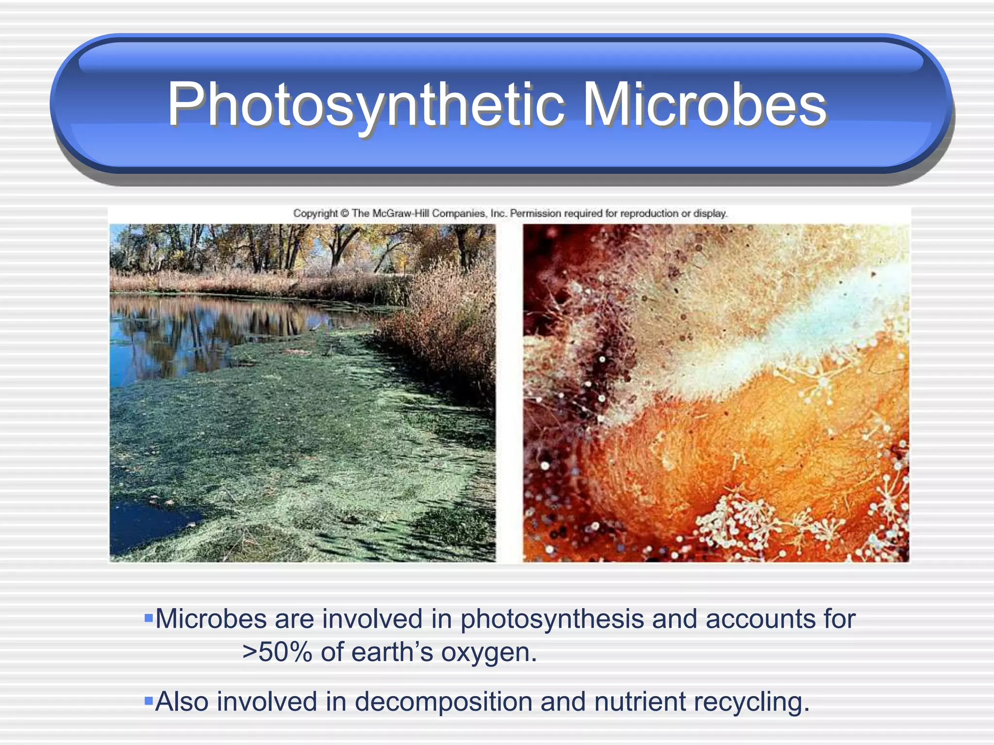 Themes in Microbiology | PPT