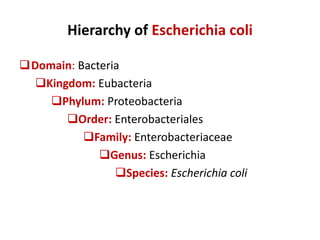 microbiology lecture by L Mugala 2 2024.pptx