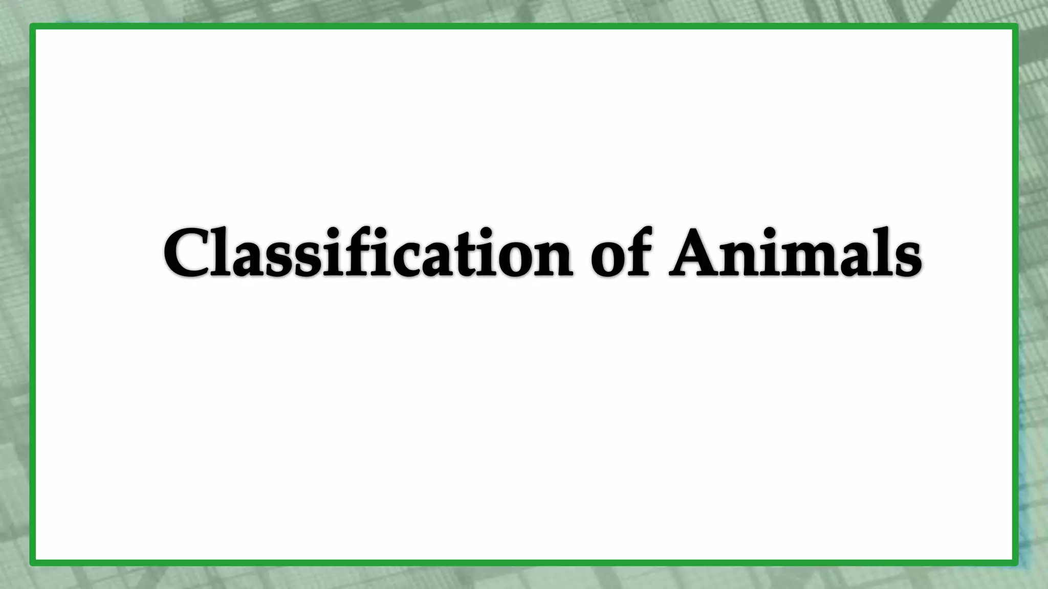 Classification of Animals | PPTX | Reptiles | Pets