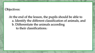 Classification of Animals | PPTX