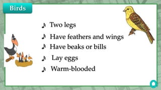 Classification of Animals | PPTX