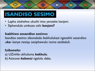 Izingcezu zenkulumo (sandiso).pdf