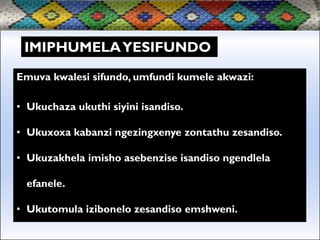 Izingcezu zenkulumo (sandiso).pdf