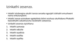 MICRO LESSON SLIDES (1).pptx