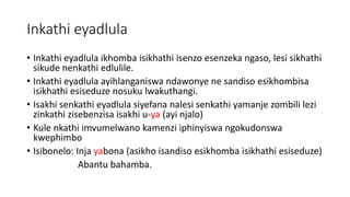 MICRO LESSON SLIDES (1).pptx