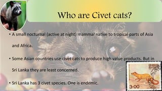 Microlivestock civet | PPTX