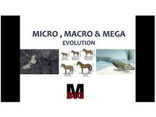 micro, macro and megaevolution with examples | PPTX