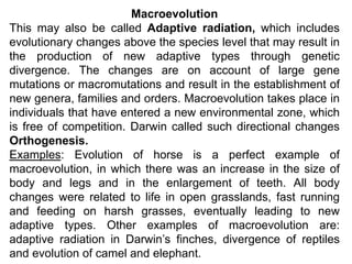 Micro macro and mega evolution | PPTX