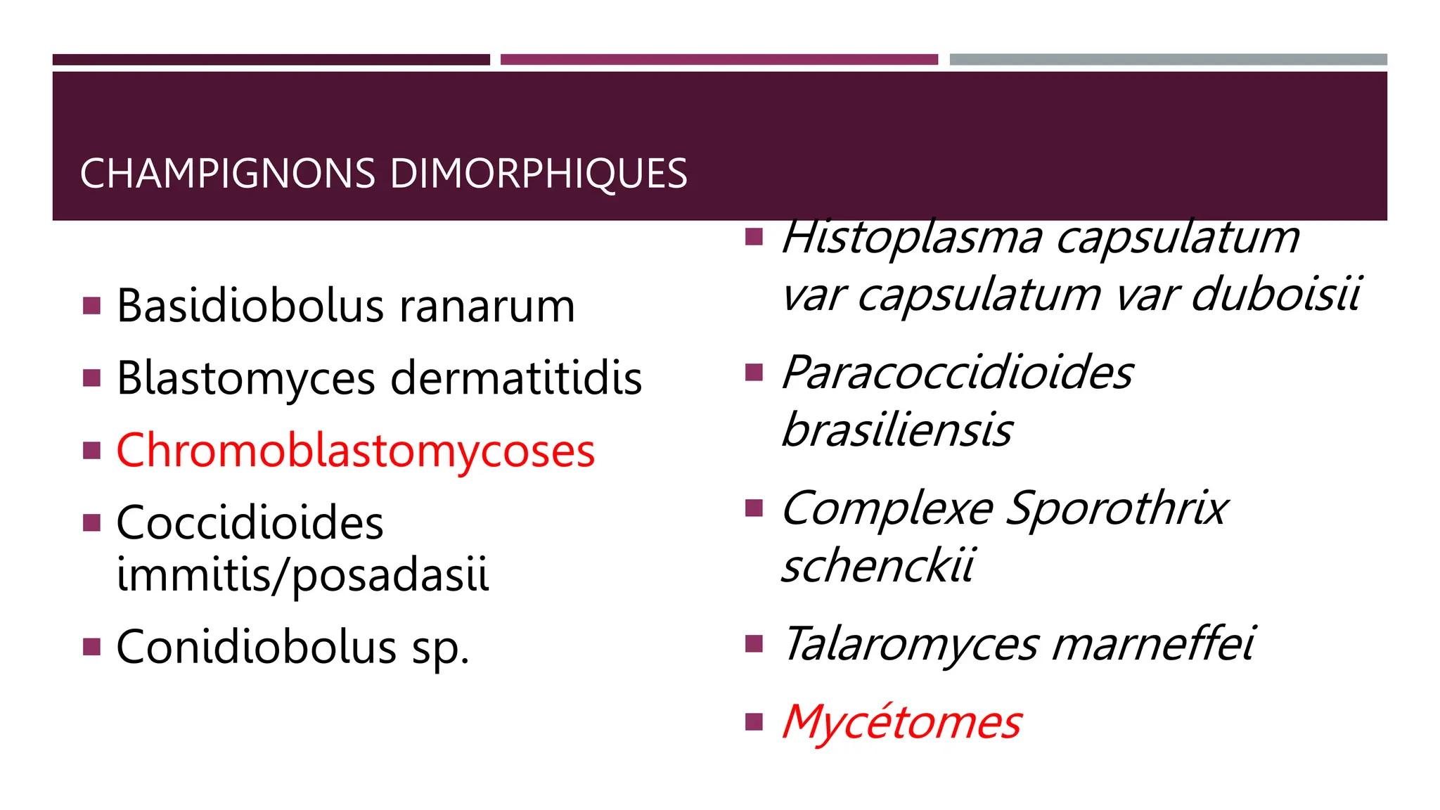 Microscopie et Macroscopie mycosique.pptx