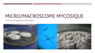 Microscopie et Macroscopie mycosique.pptx