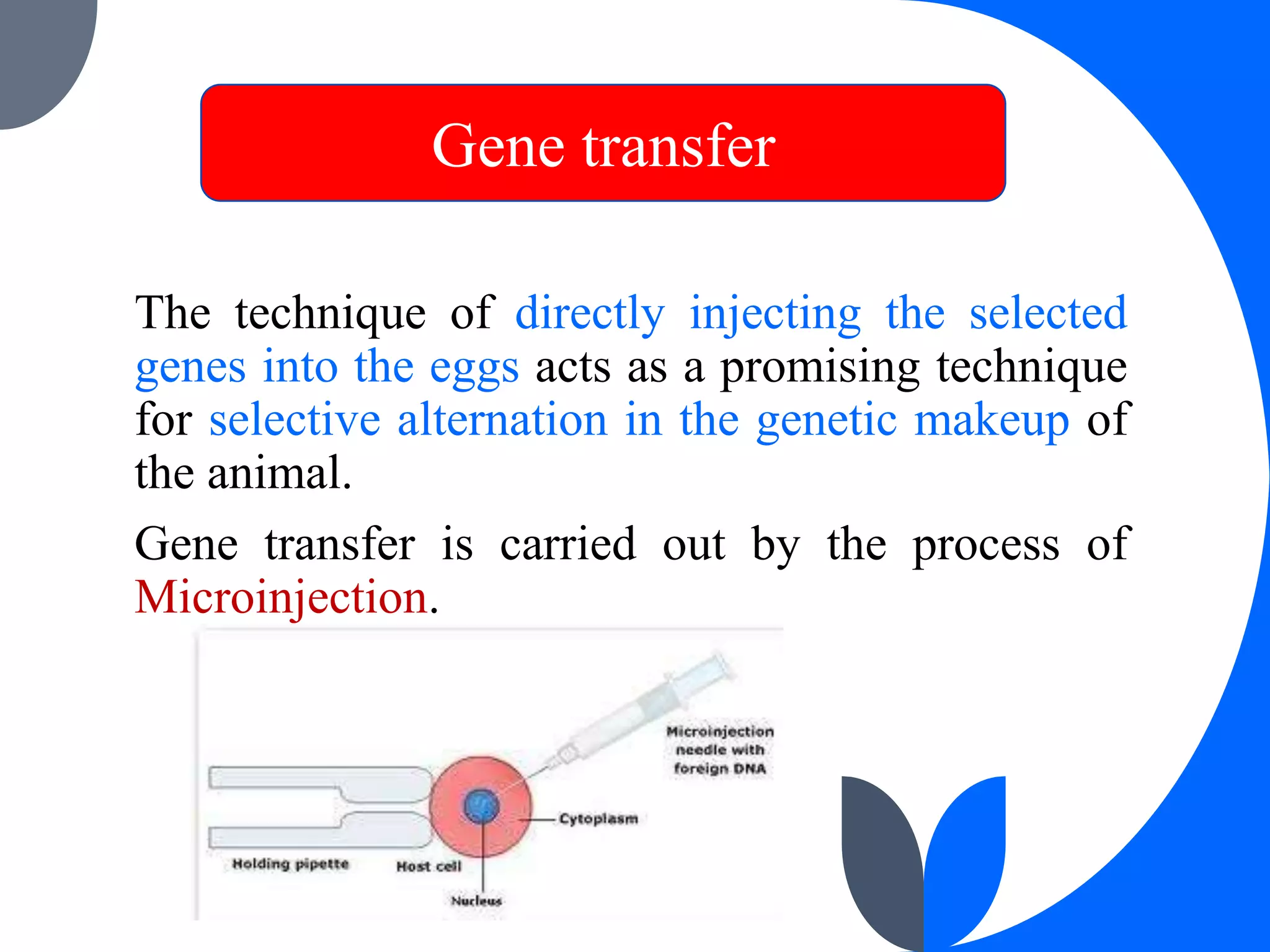 Micromanipulation.pptx