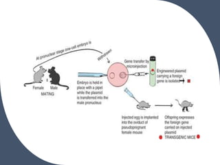 Micromanipulation.pptx