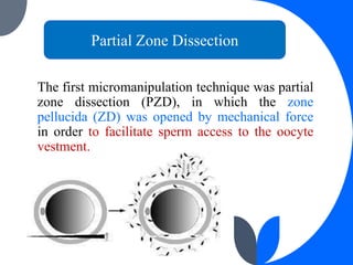 Micromanipulation.pptx