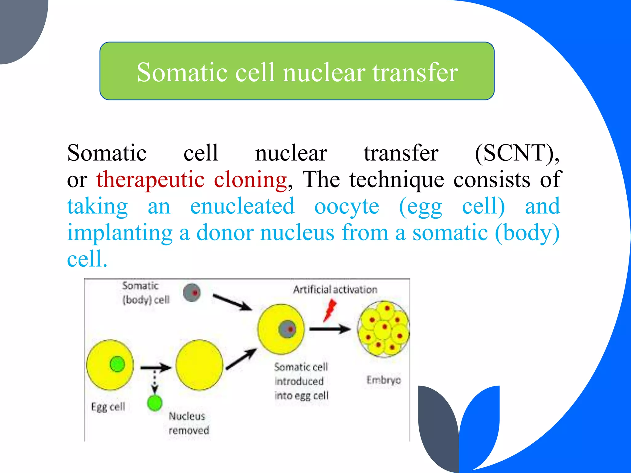 Micromanipulation.pptx