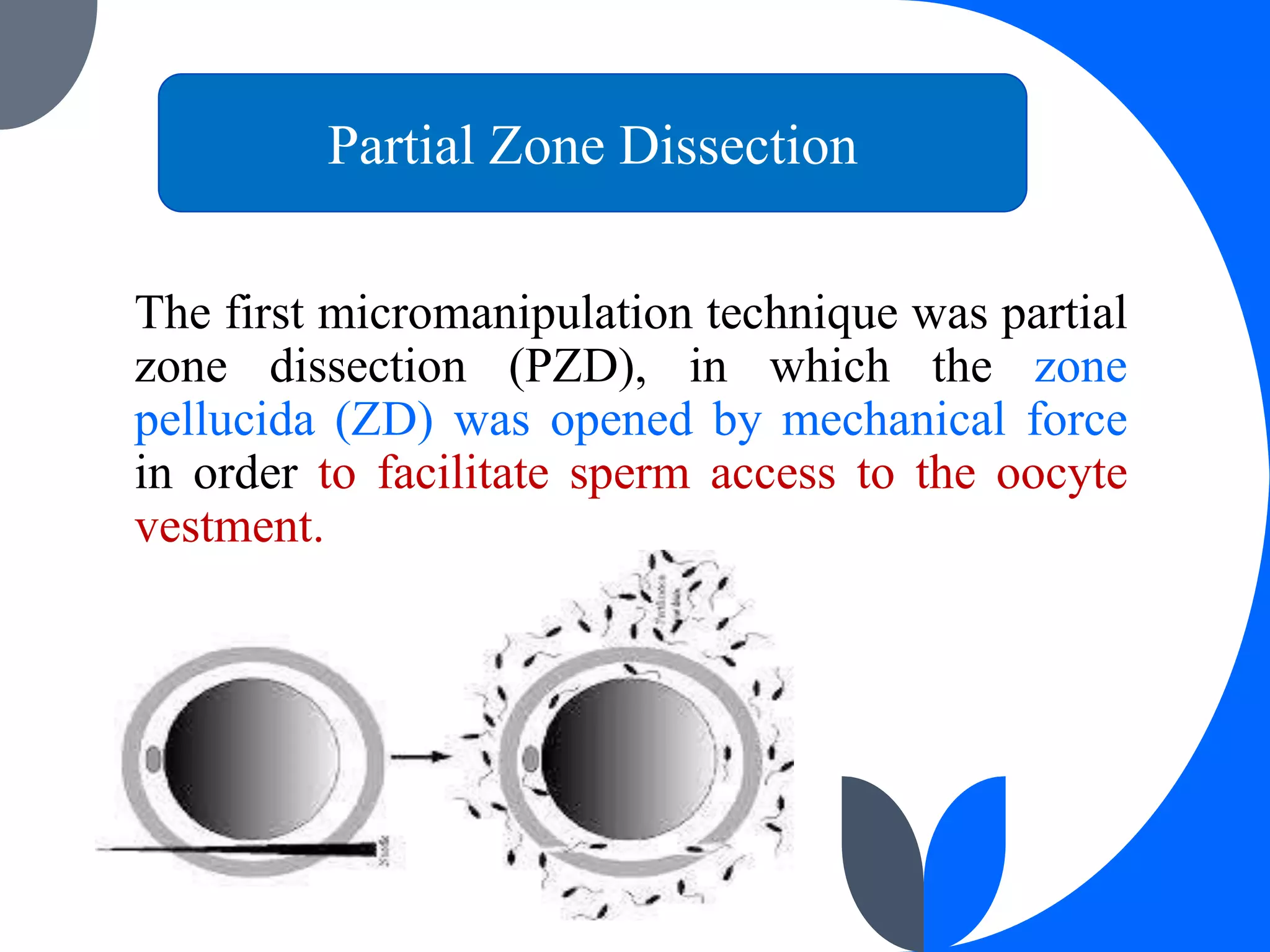Micromanipulation.pptx