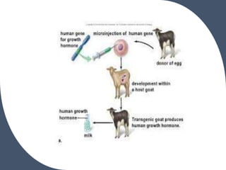 Micromanipulation.pptx