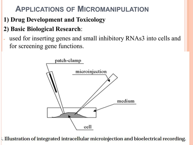 Micromanipulation | PPTX | Reproductive Health | Diseases and Conditions