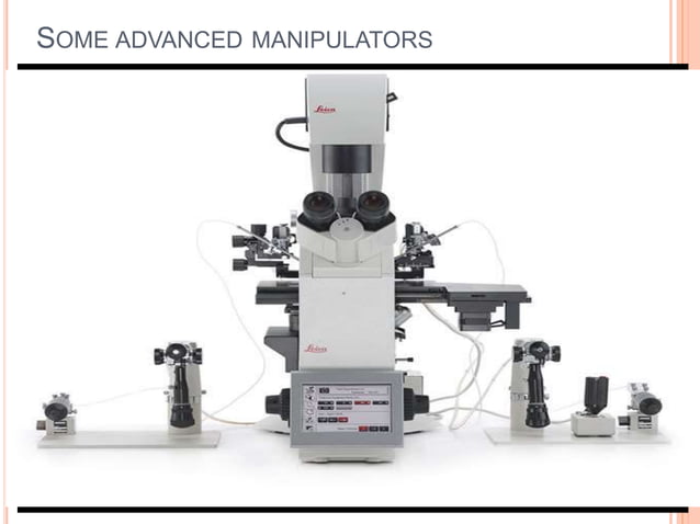 Micromanipulation | PPTX | Reproductive Health | Diseases and Conditions