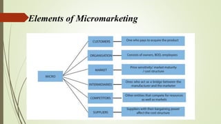 Micromarketing | PPTX