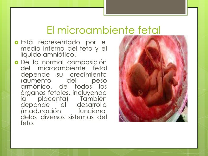 Micro, matro, macroambiente fetal.