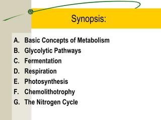 Microbial metabolism | PPT