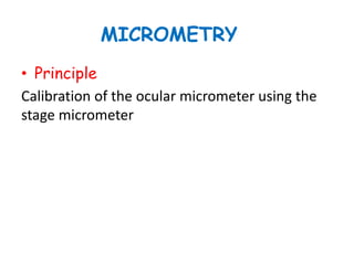 Micrometry | PPTX