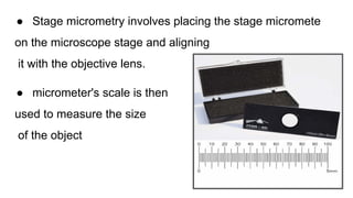 MICROMETRY STAGE OCULAR AND IT'S APPLICATION | PDF