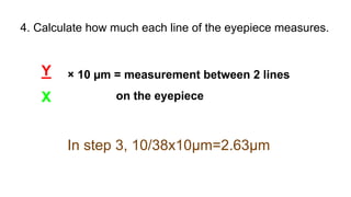 MICROMETRY STAGE OCULAR AND IT'S APPLICATION | PDF