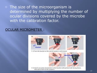Micrometry in Microbiology: Principles, Calibration and Applications | PPTX