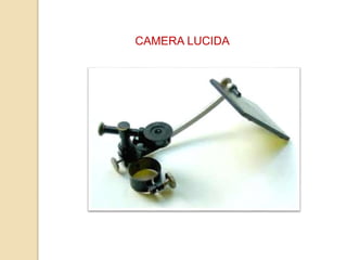 Micrometry and camera lucida | PPTX