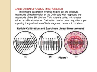 Micrometry and camera lucida | PPTX