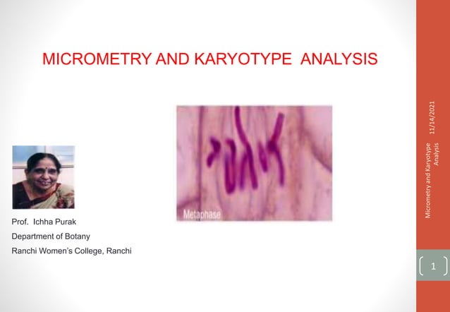Micrometry and karyotype analysis | PPTX | Genetics | Science