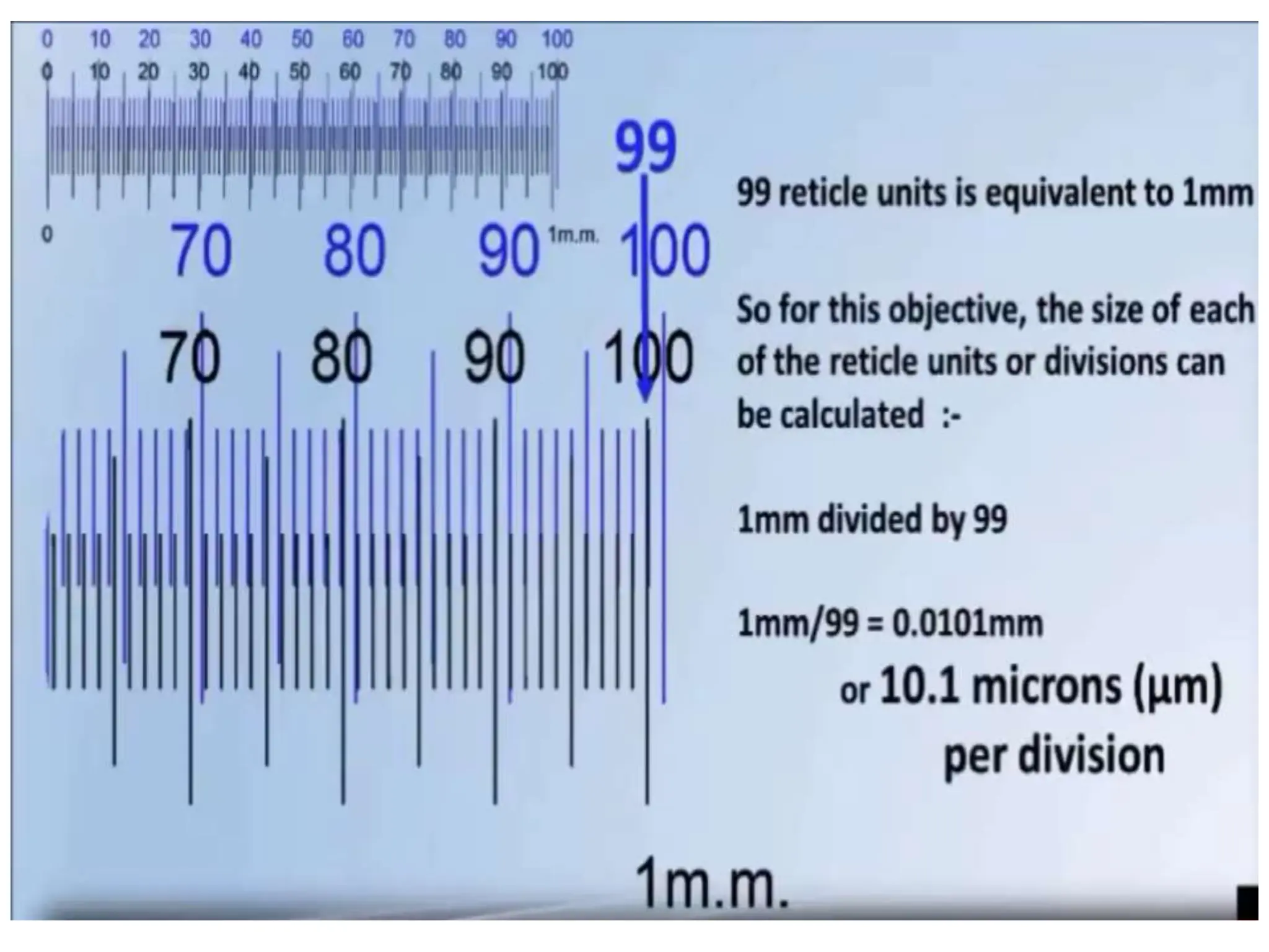 Micrometry and morphometry and measurement of size_3.ppt