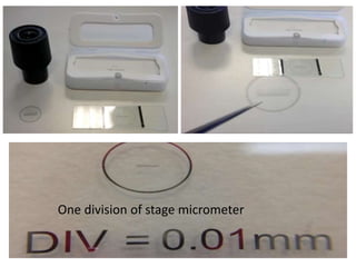 Micrometry and morphometry and measurement of size_3.ppt